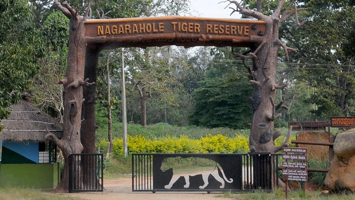 Six wildlife sanctuaries in Karnataka to be…