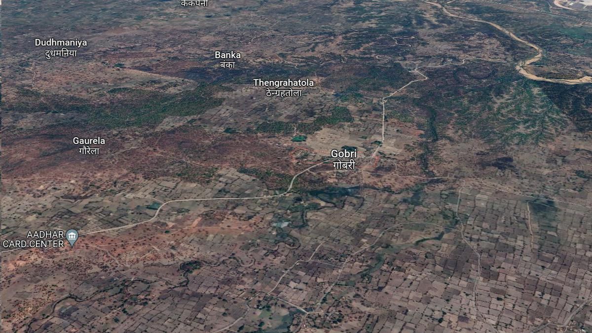 Man dies in elephant attack in Madhya Pradesh