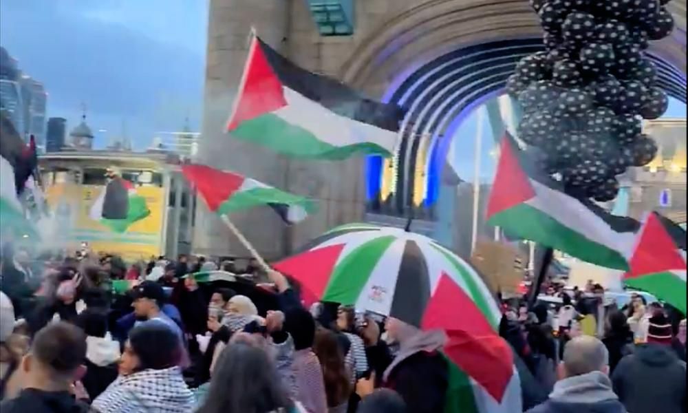 London’s Tower Bridge closed due to pro-Palestine…