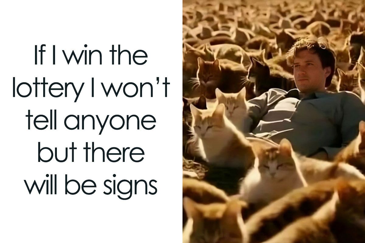 50 Cute And Funny Memes That Might Make You Want To…