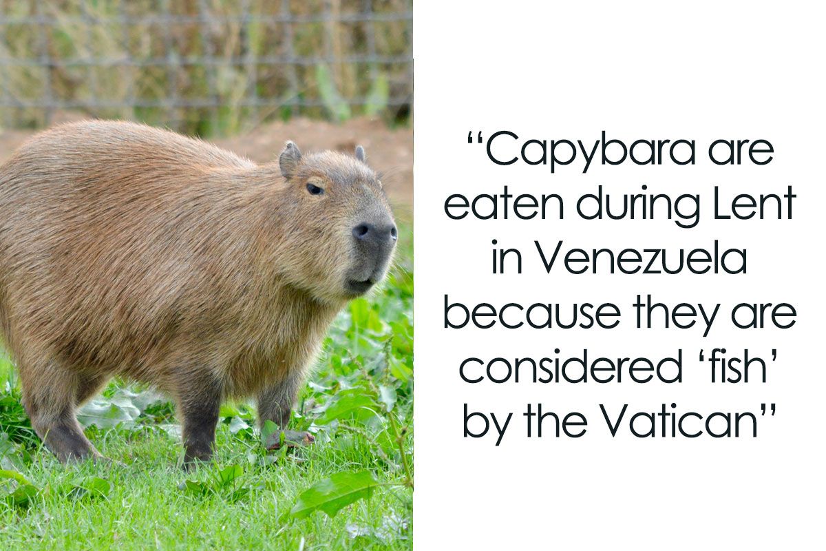 “Today I Learned”: 40 Interesting Facts About The…