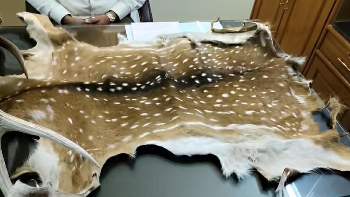 Four held for poaching spotted deer in Nallamala…