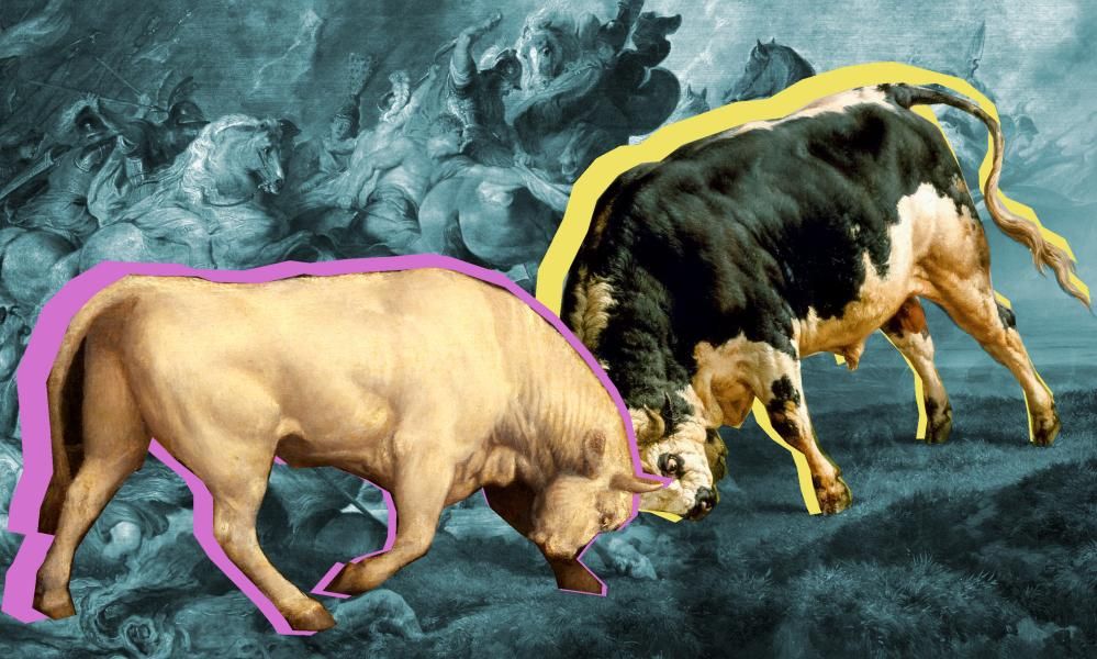 Tell us: what’s your best trick for stopping a fight…