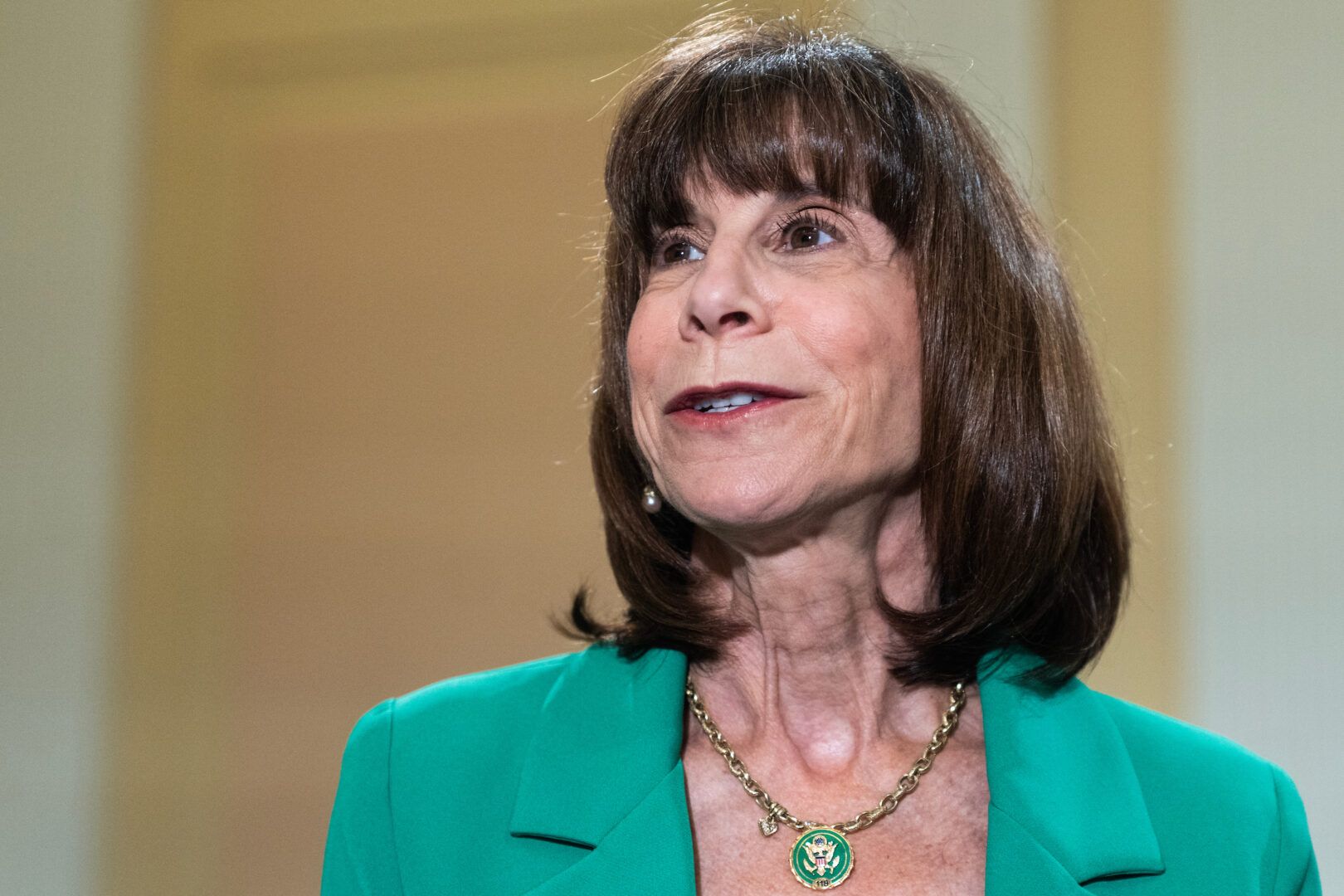 Gerrymandered off the Hill, Kathy Manning eyes what’s…