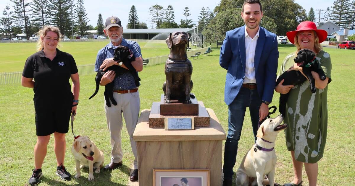 New monument to honour incredible guide dog after…