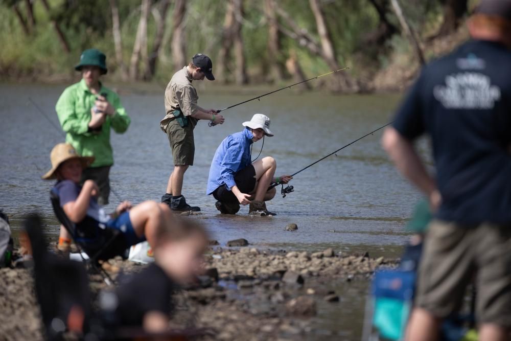 Carp Diem: targeting the ‘perfect invasive species’…