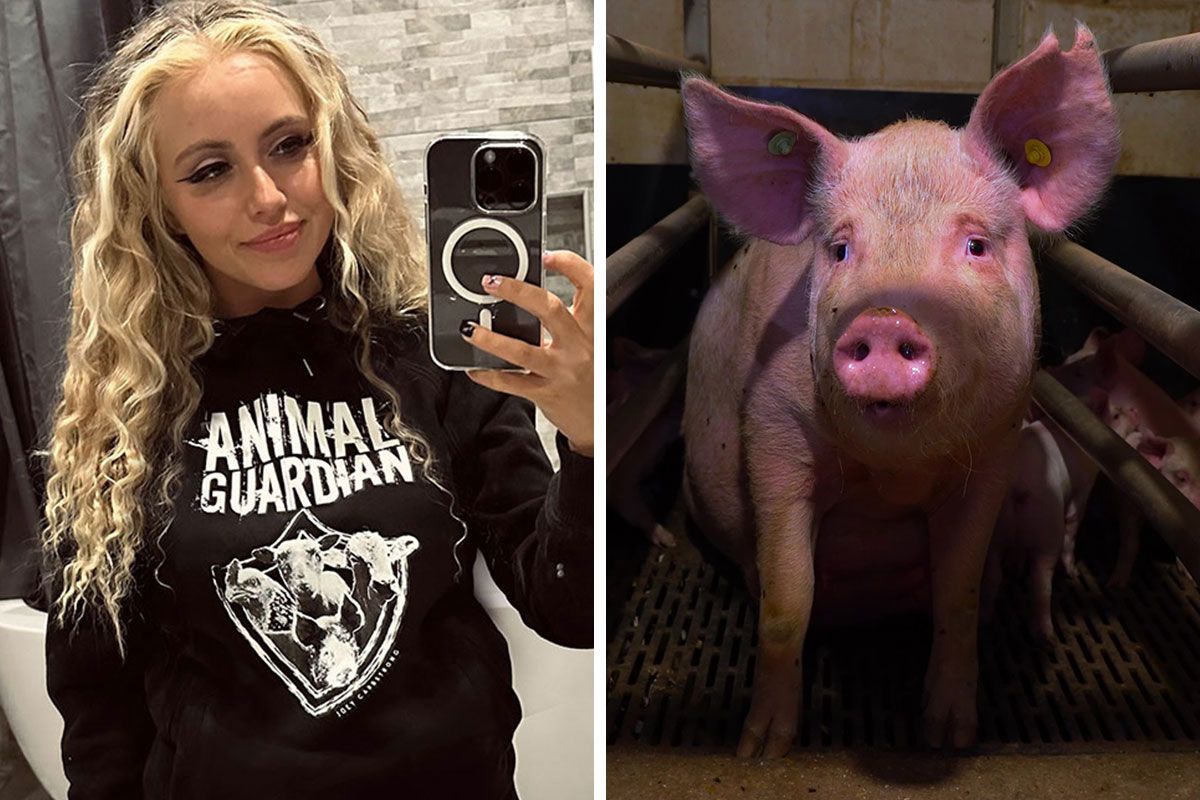 “I’ll Do Whatever It Takes”: Female Vegan Activist…