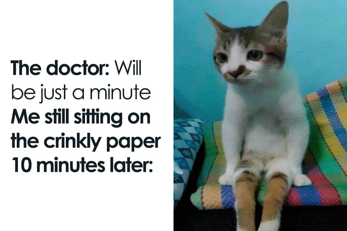 This IG Page Is Dedicated To Random And Funny Memes,…