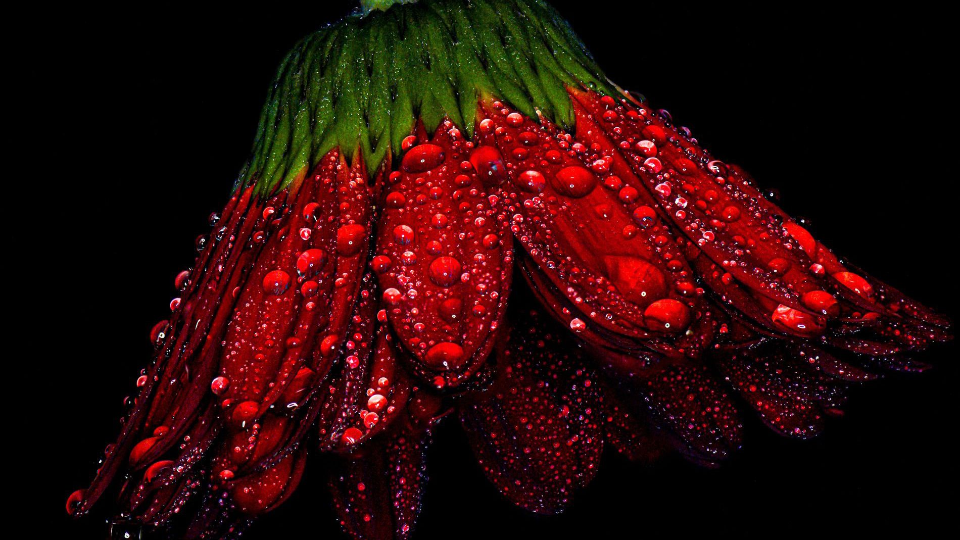 GuruShots: Winning images from the latest Your…