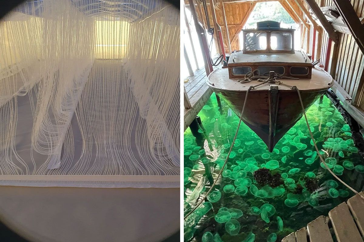 50 Curious Pictures Of Things People Don’t Get To See…