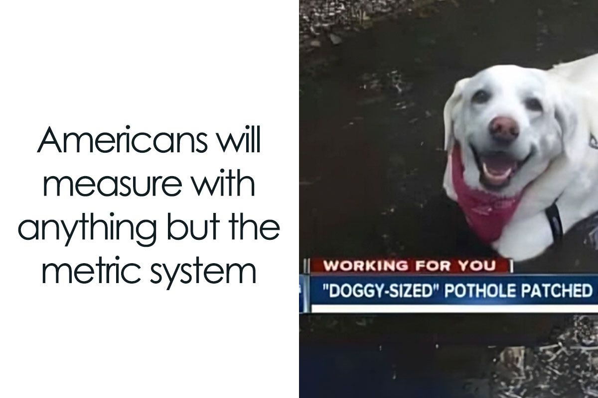 “Amazing American Memes”: 35 Posts About The…