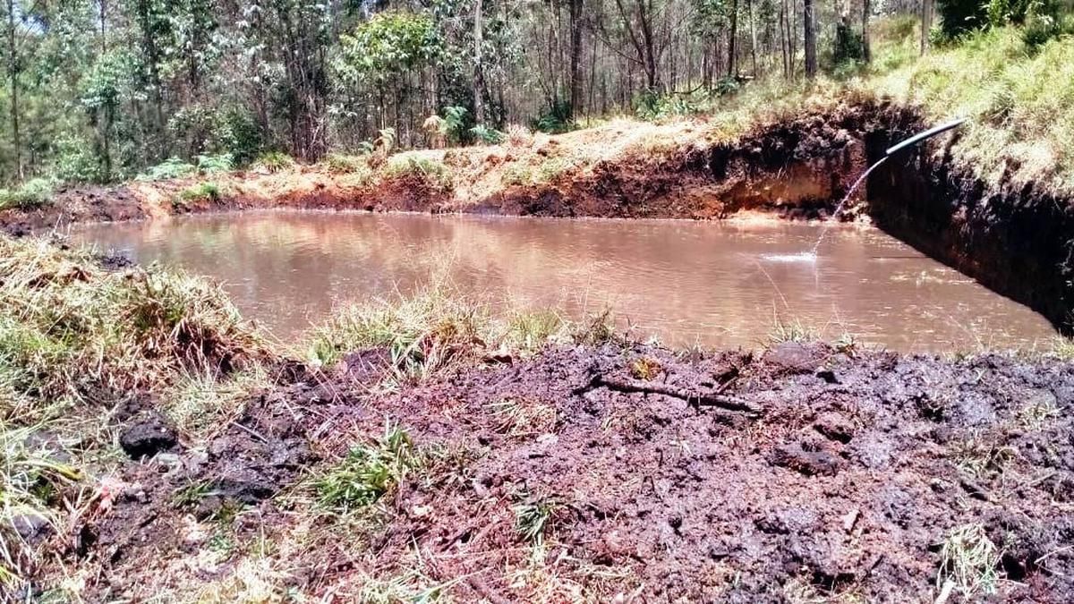 As Save Padayappa’ campaign gathers momentum, Forest…