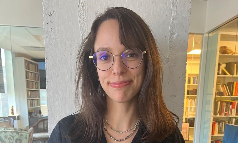 All Things Are Too Small by Becca Rothfeld review