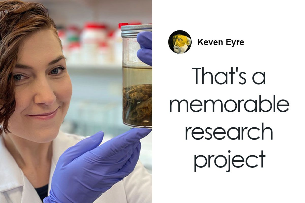 Scientists Try To Explain Why 4,400 Brains Have…