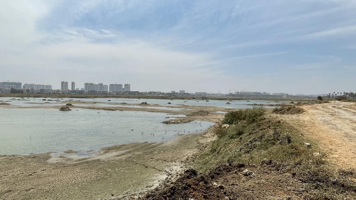 BWSSB proposes community rainwater harvesting to fill…