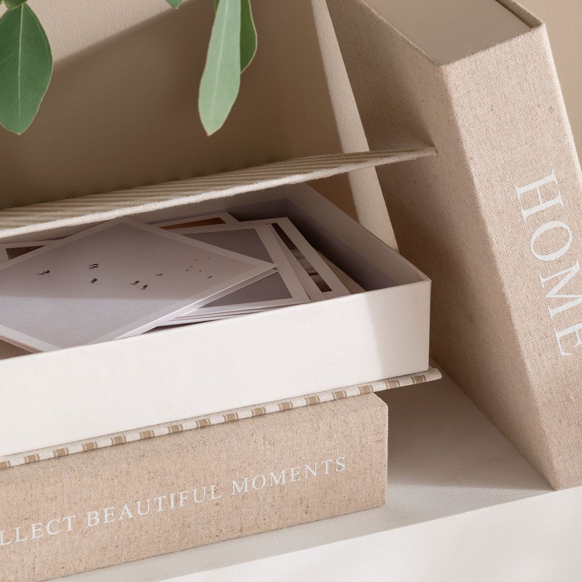 Decorative book storage boxes are the 'genius'…