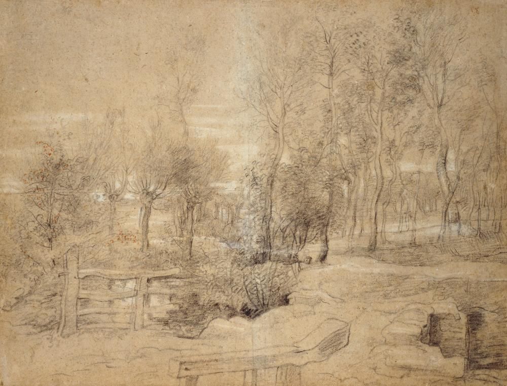 Bruegel to Rubens: Great Flemish Drawings review