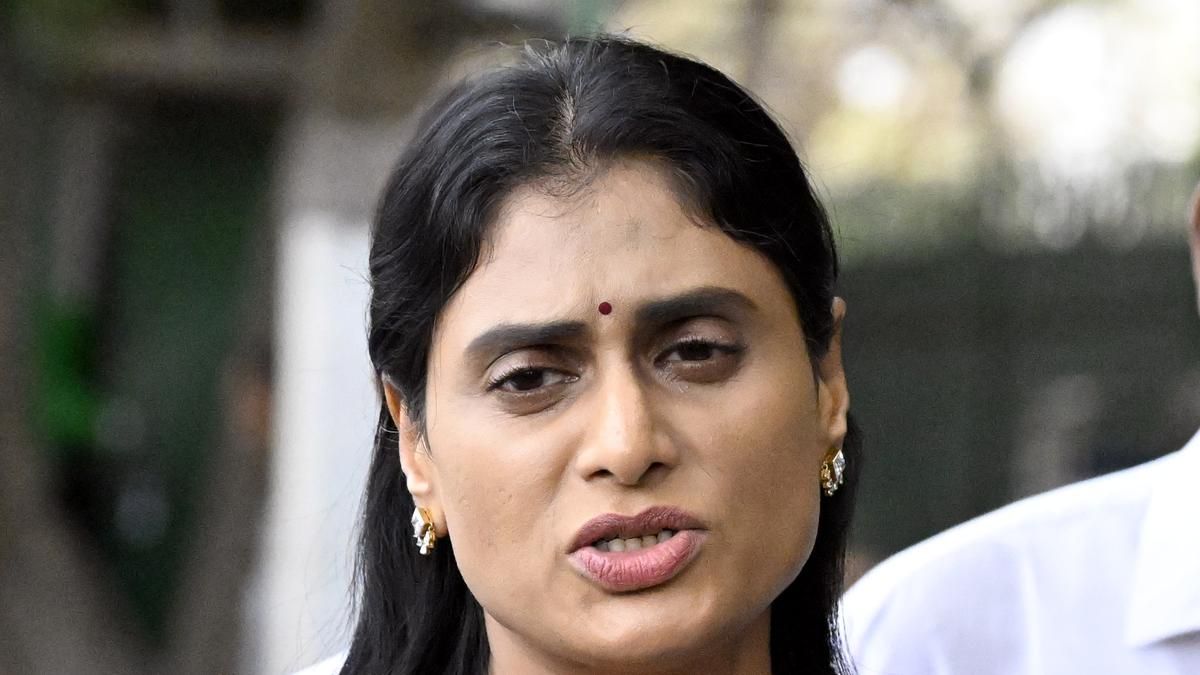 APCC leaders meet Election Commission; flag violation…