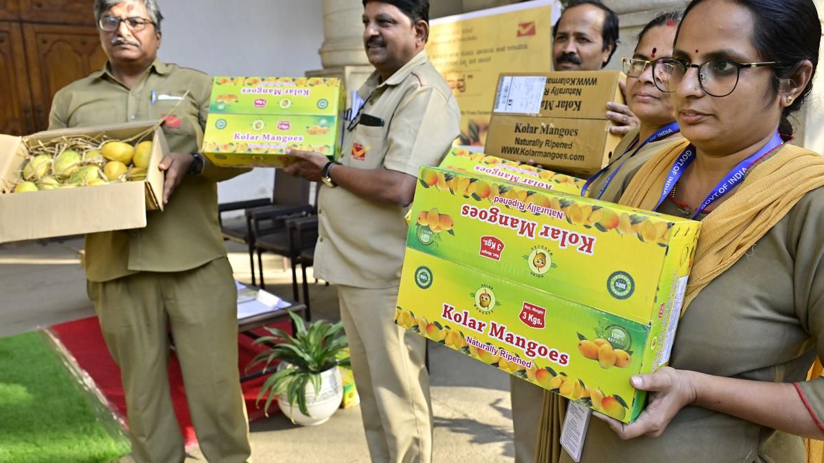 Department of Posts commences door delivery of mangoes