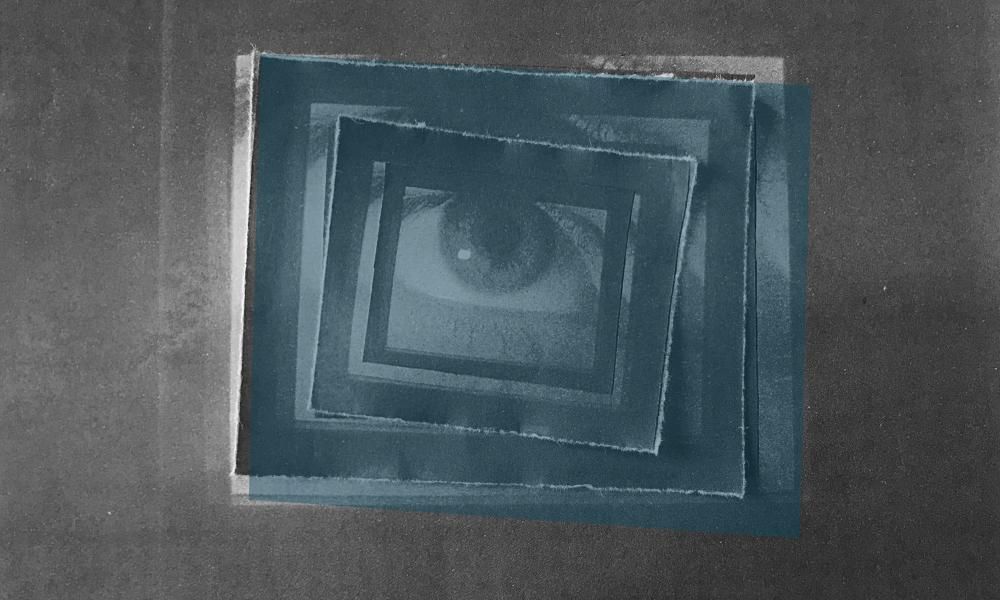 Surveillance states: as in Orwell’s 1984, has living…