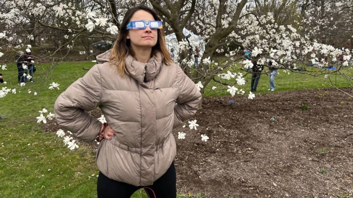 This is how crazy Buffalo got during the eclipse