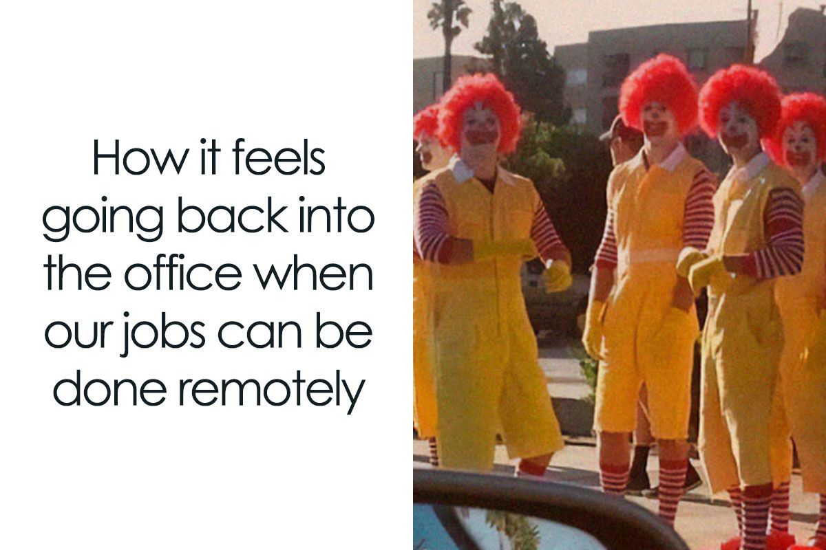 30 Hilarious Memes To Look At Instead Of Working, As…