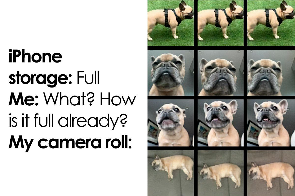 50 Random Memes To Entertain You While You…