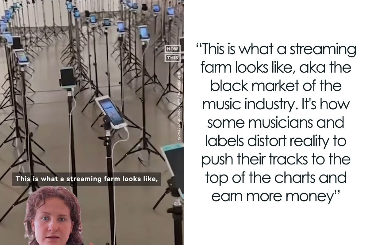 Woman Attempts To Explain How Streaming Farms Work,…