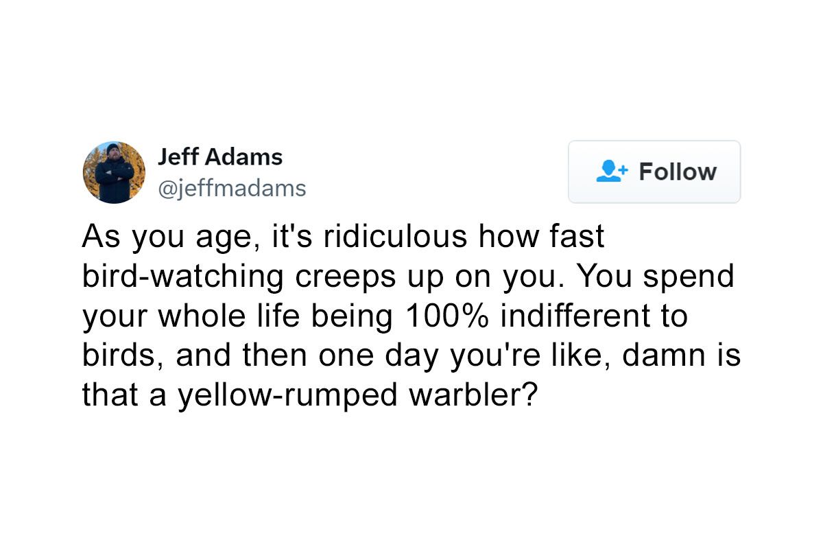 50 Animal And Nature Memes, As Shared By Members Of…