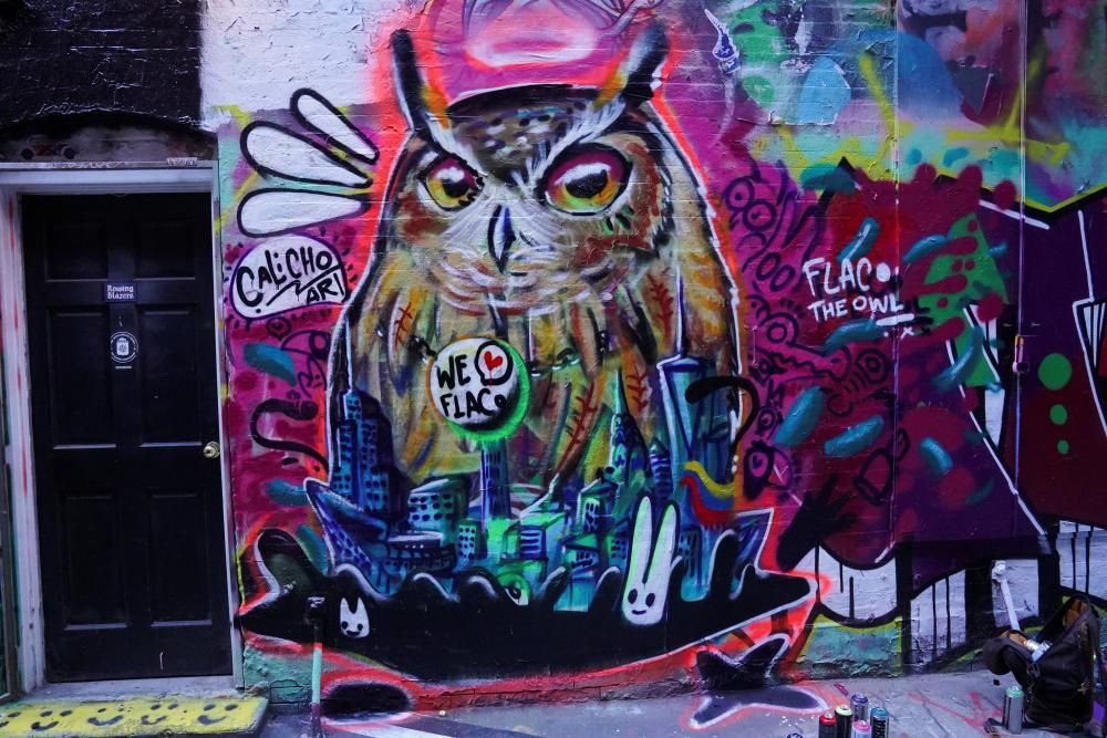 ‘We all connected over Flaco’: artists turn beloved…