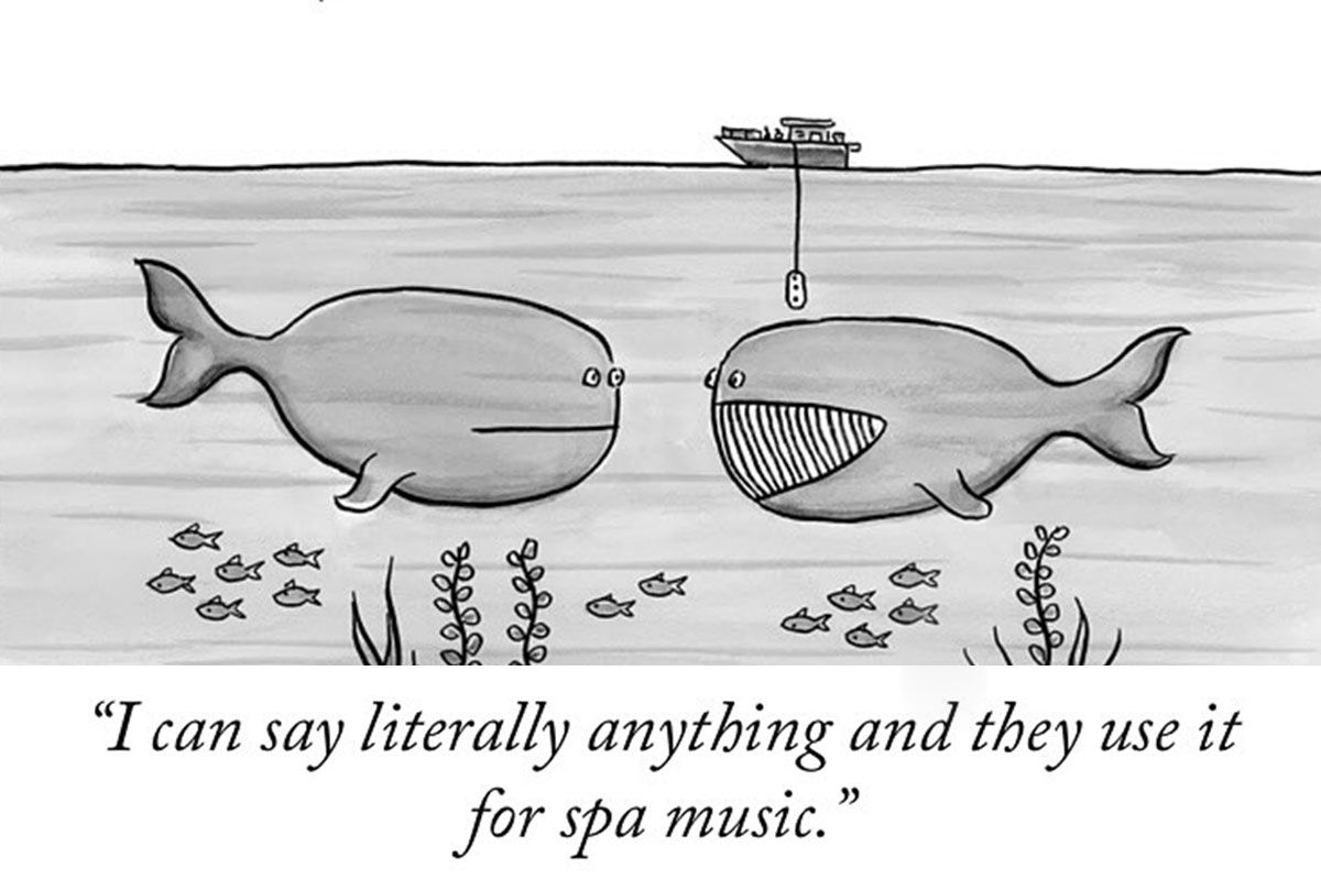 65 Clever Comics That Poke Fun At Our Society BY Sarah…