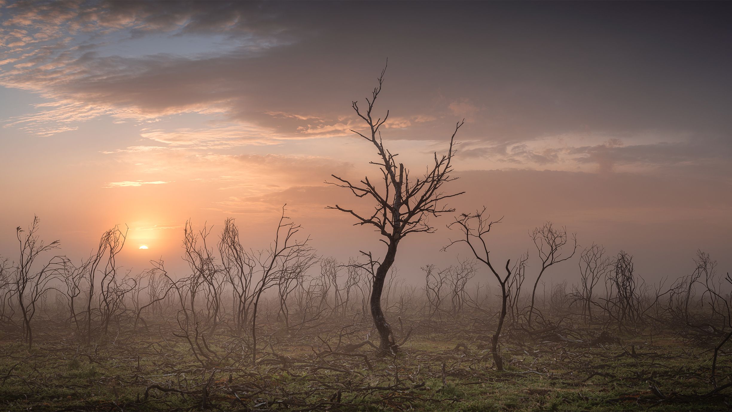 Landscape Photographer of the Year reveals how to…