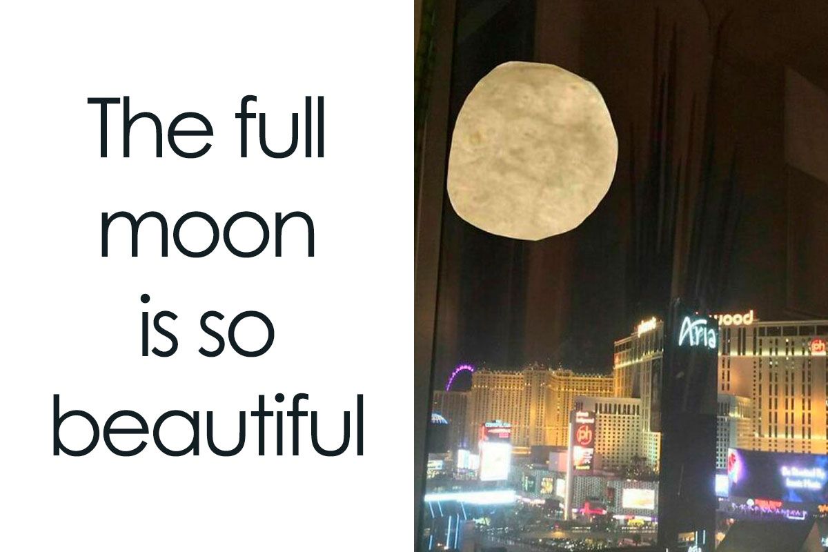 Moon Tortilla Memes What Indeed