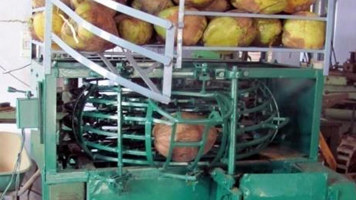 Patent for power operated rotary coconut husking…