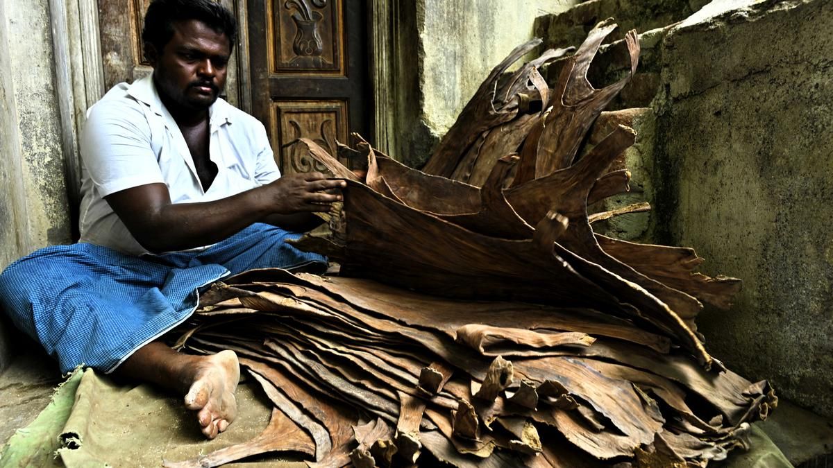 The Chithirai festival in Madurai and the goat skin…