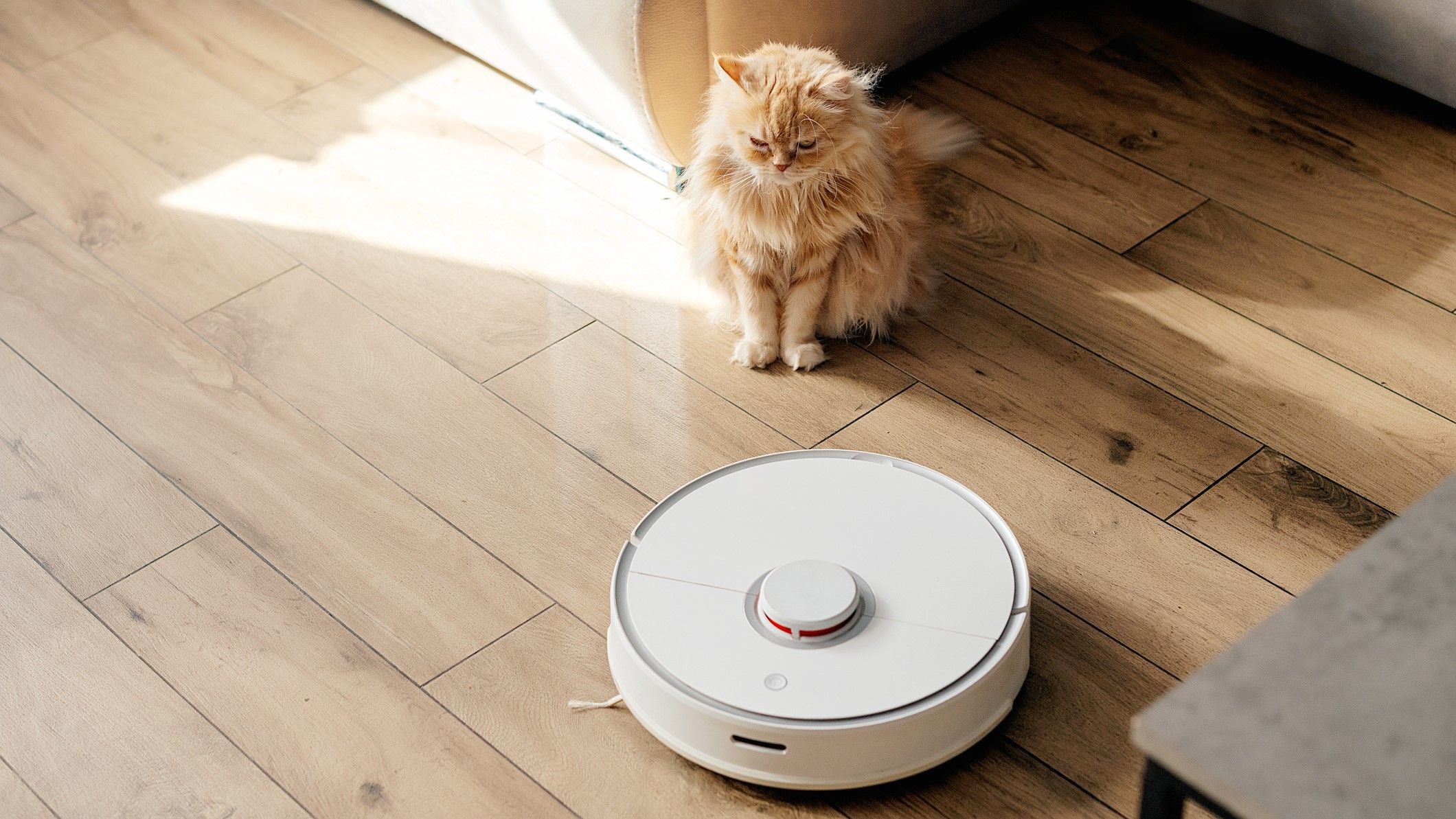 How to clean a robot vacuum cleaner – revive your bot…