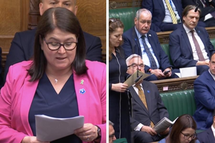Why are MPs wearing blue flowers at PMQs?