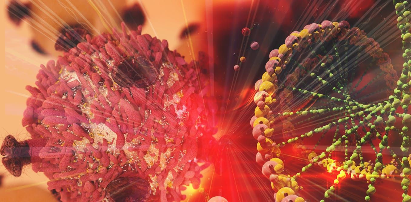 Unlocking the body’s defences: understanding…