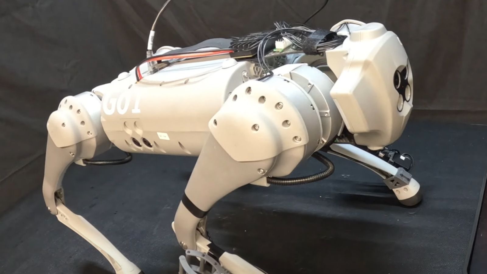 Meet LocoMan, the quirky robot dog that can stand up…