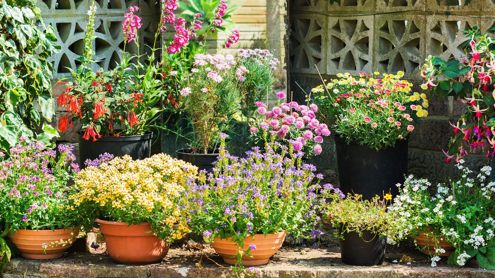 How to spruce up spring containers for summer – 5 ways…
