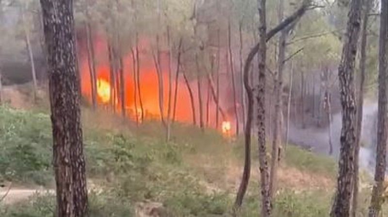 Himachal Pradesh: Now fire at Dingu Forest in…