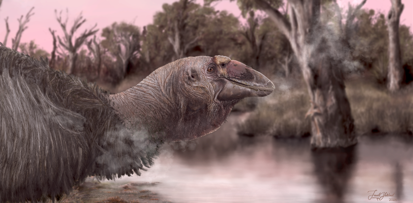 New fossils show what Australia’s giant prehistoric…