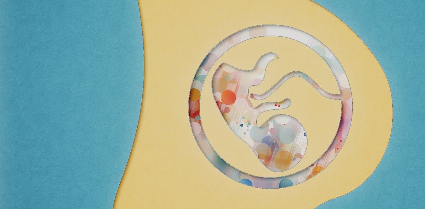 Pregnancy is an engineering challenge − diagnosing and…