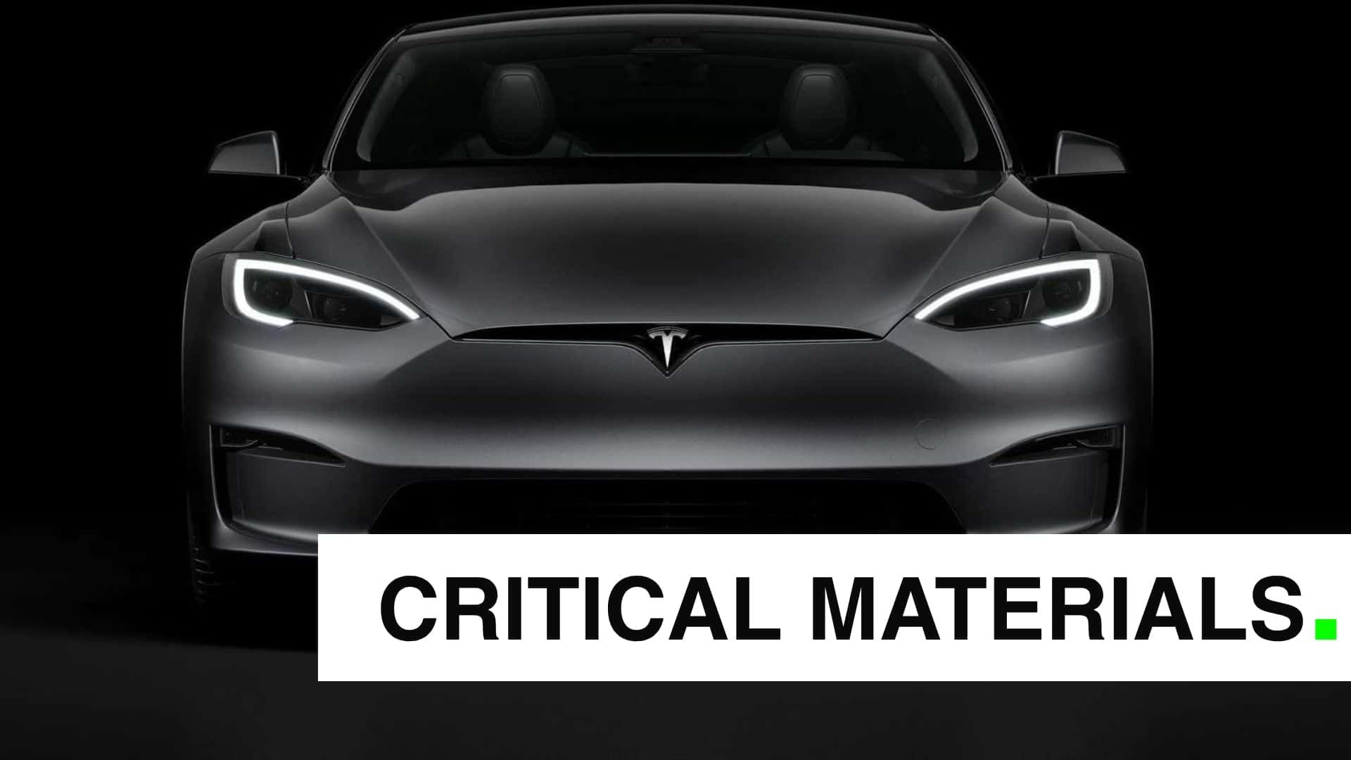 'Fundamentals Detached From Reality': Early Tesla…