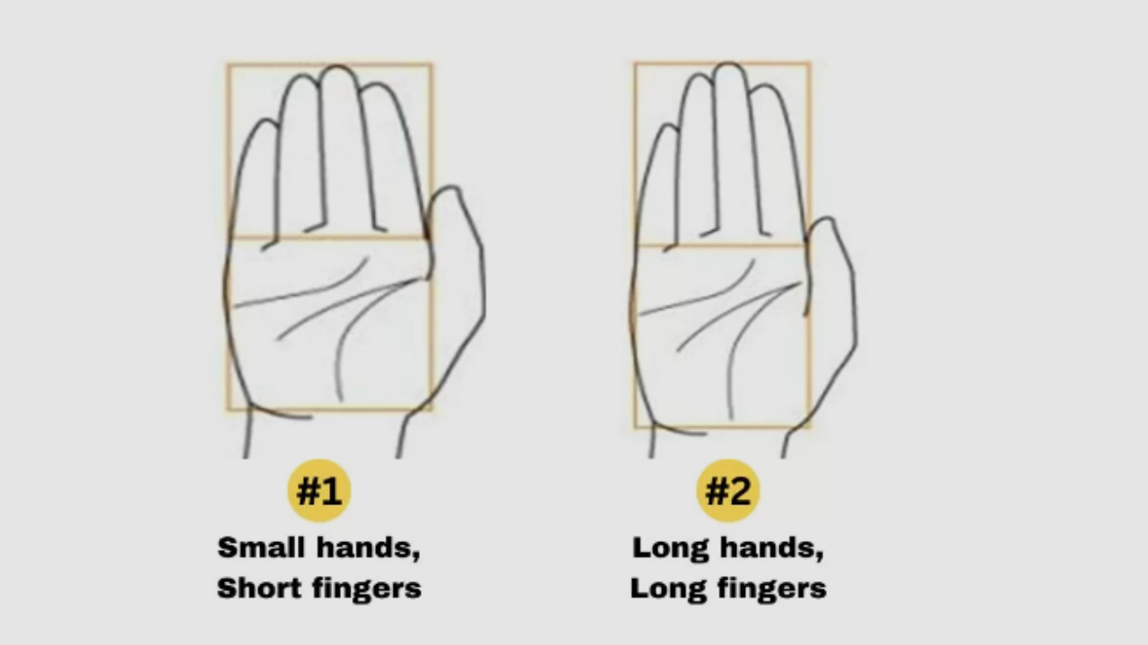 Personality test: The shape of your hand reveals great…