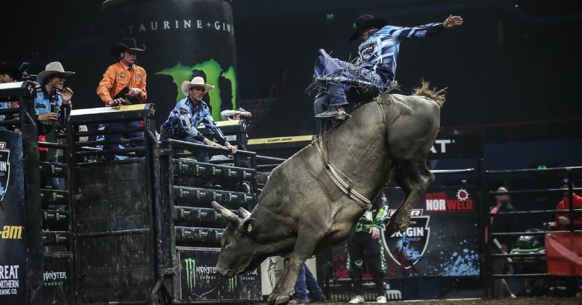 'It's our turn': Blues ready to take bull by the horns