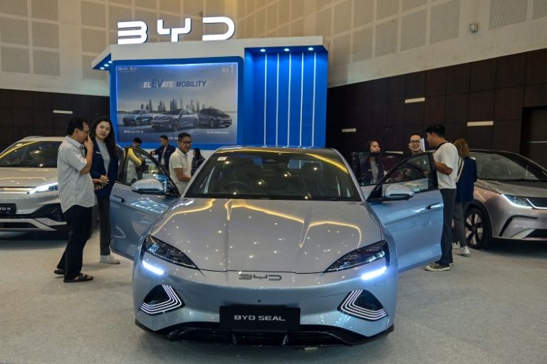 BYD Says To Build Second EU Factory Despite EV Slowdown