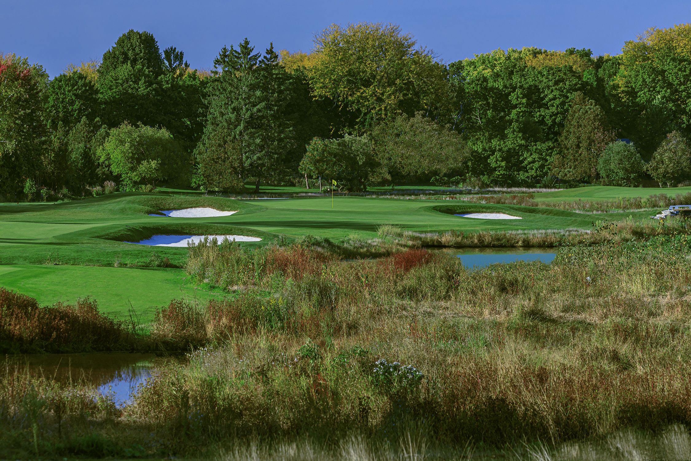 What happens when you allow a scramble-golf duffer…