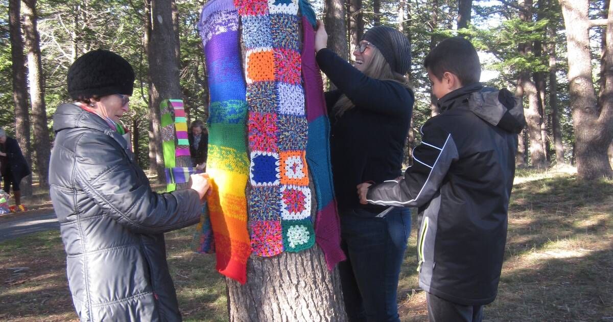 National Arboretum is hosting warm trees and a…