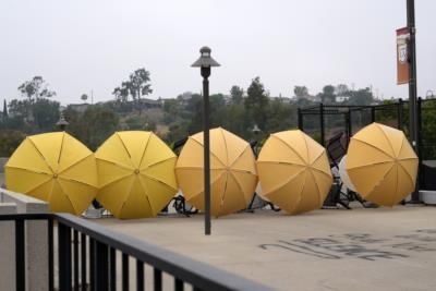 Protesters Occupy And Damage Building At CSULA Campus